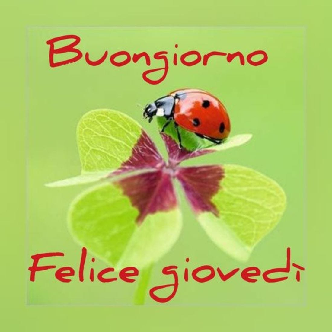 Buon giovedì 24 Giugno 2021 : Frasi, immagini estive del buongiorno ...
